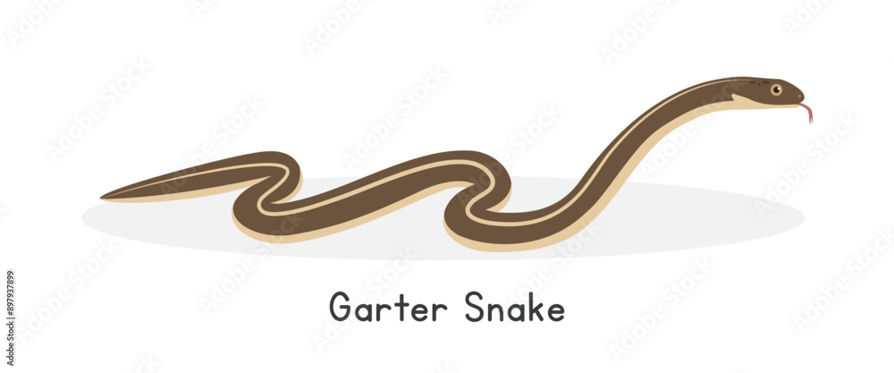 Garter snake vector illustration, cartoon clipart character, animal in ...