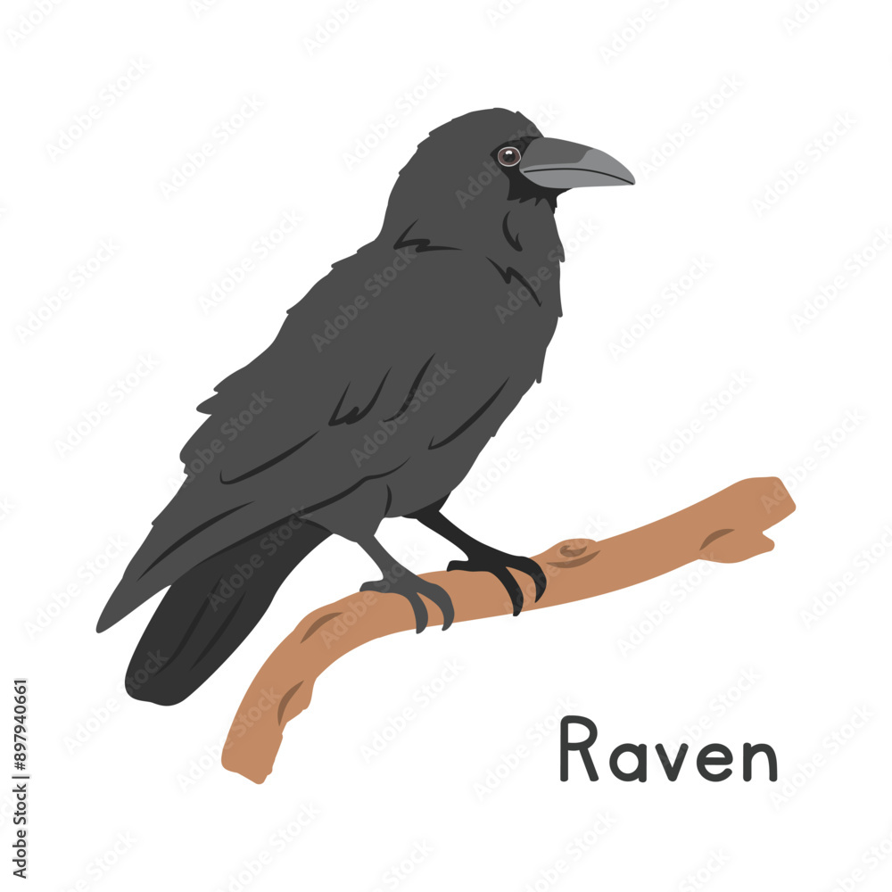 Common raven perched on tree branch vector illustration, cartoon ...