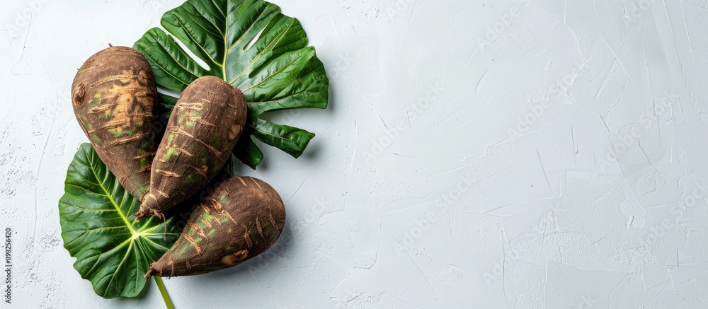 The Brazilian potato called yam may also be referred to as Alocasia ...