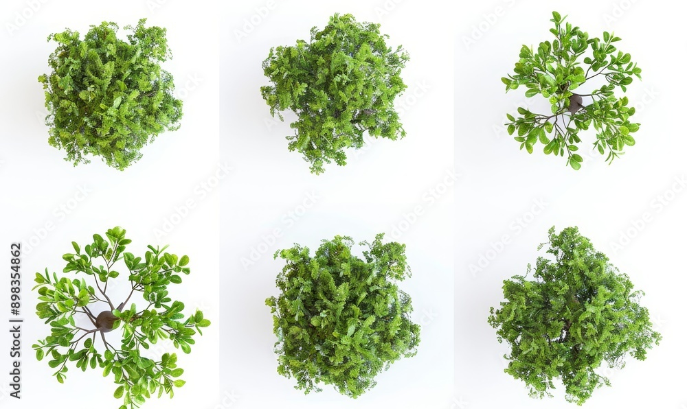 Woods and trees cutouts on transparent backgrounds in 3D render files ...