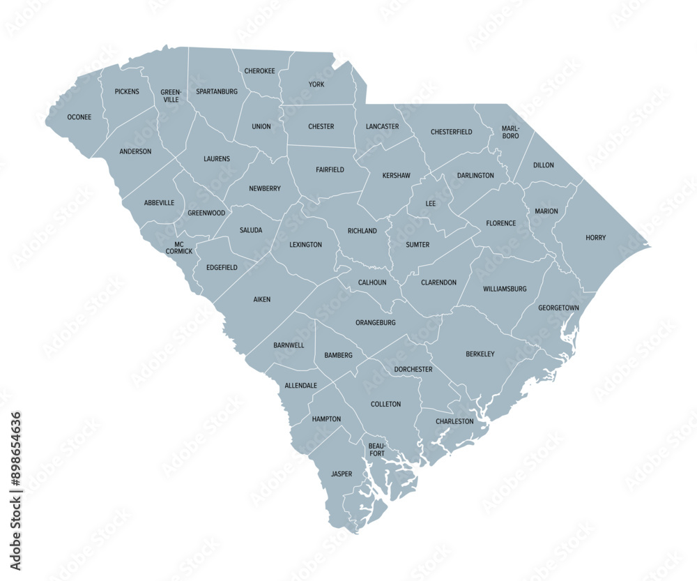 South Carolina counties, gray political map with borders and county ...