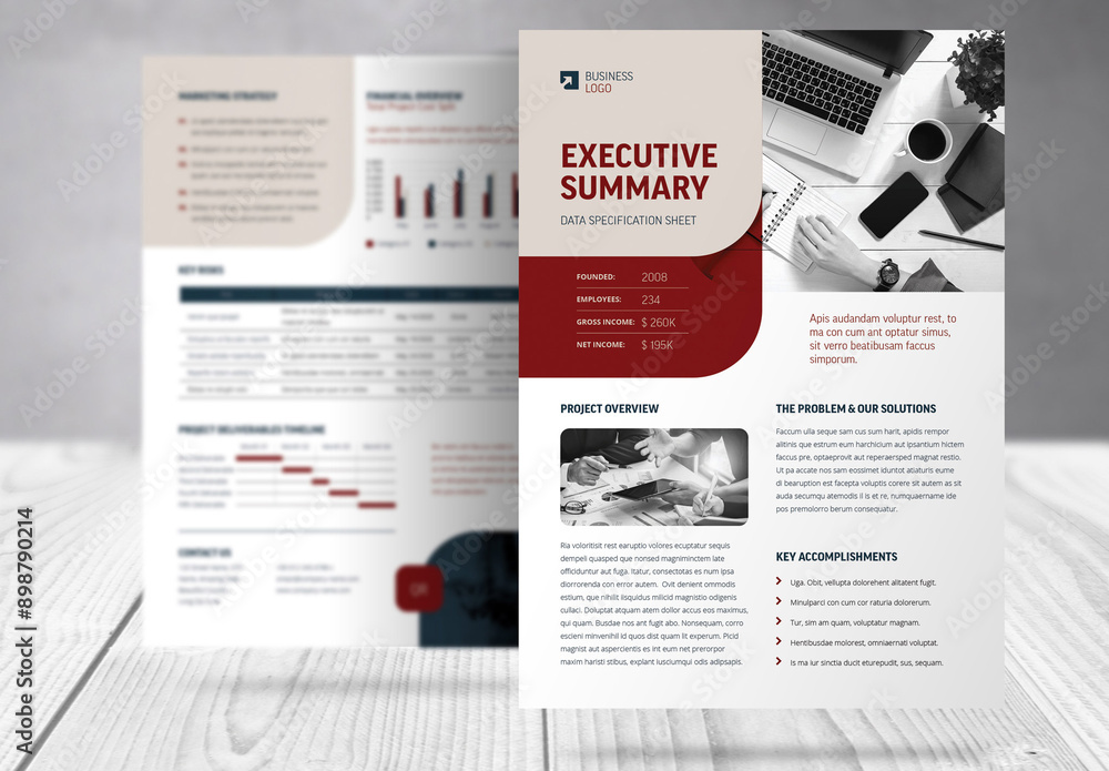 Business Executive Summary Report Template Stock Template | Adobe Stock