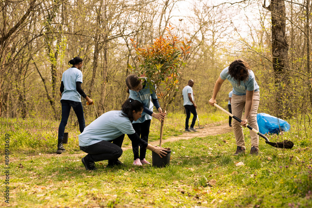 Diverse team of environmentalists digging holes to plant trees in the ...