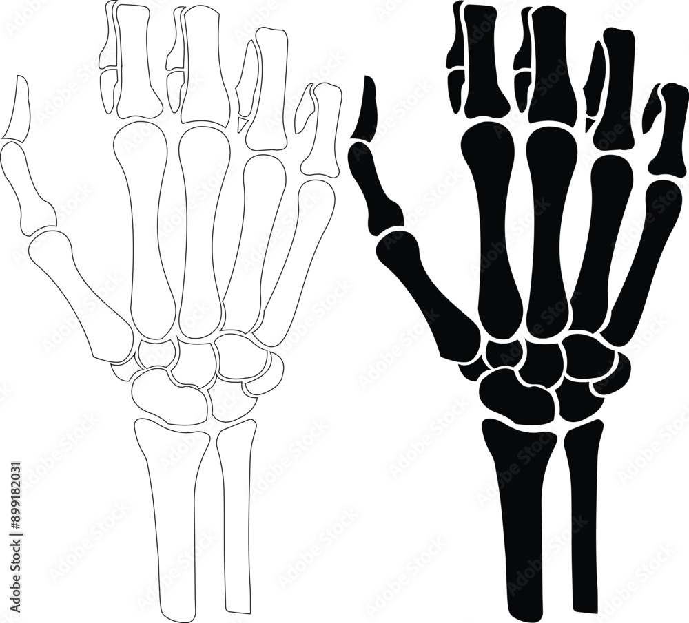 Skeleton Hands EPS, Skeleton EPS, Skull Skeleton Hand Clipart ...