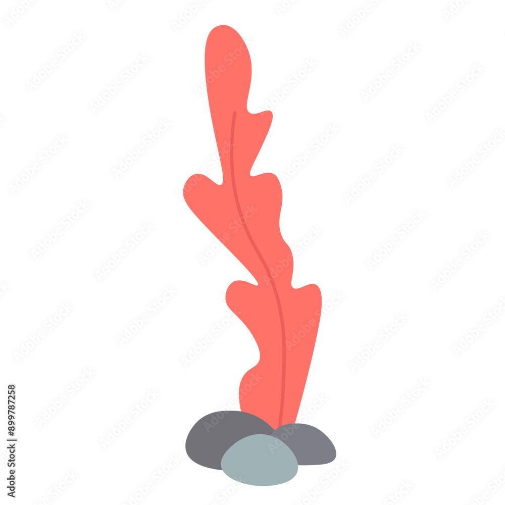 Poster Red algae isolated on transparent background – Wall Art | UkPosters