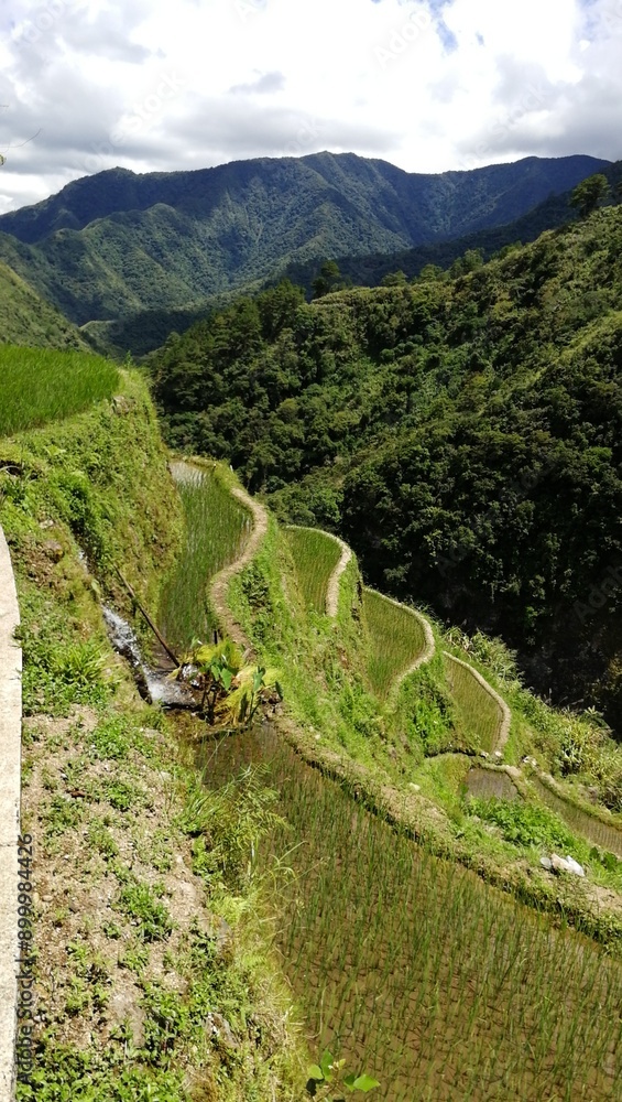 Rice Terraces of the Philippine Cordilleras, rice fields in Banaue ...