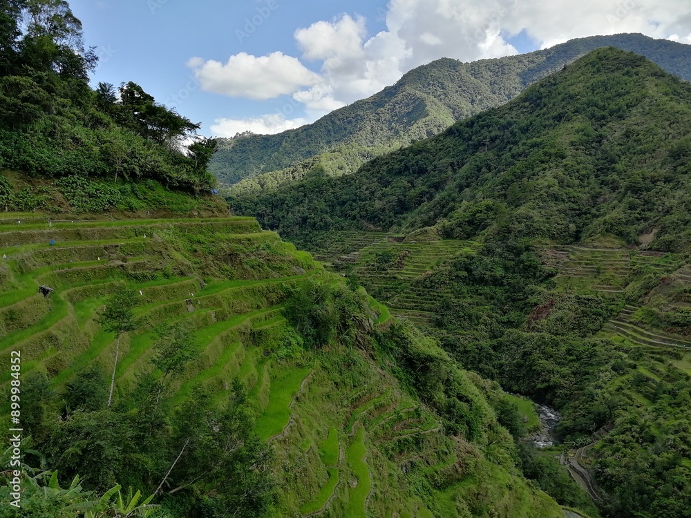 Rice Terraces of the Philippine Cordilleras, rice fields in Banaue ...