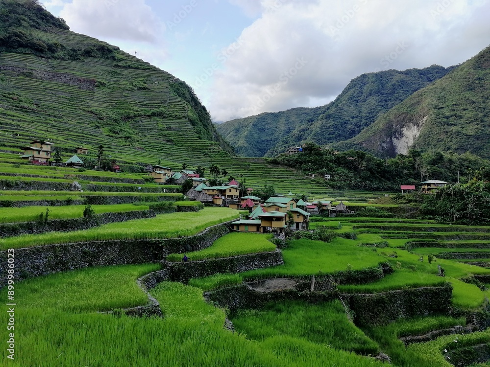Rice Terraces of the Philippine Cordilleras, rice fields in Banaue ...