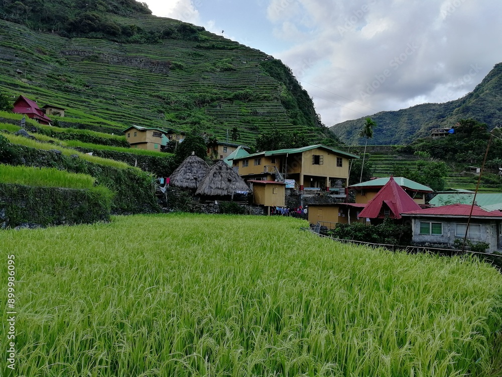Rice Terraces of the Philippine Cordilleras, rice fields in Banaue ...