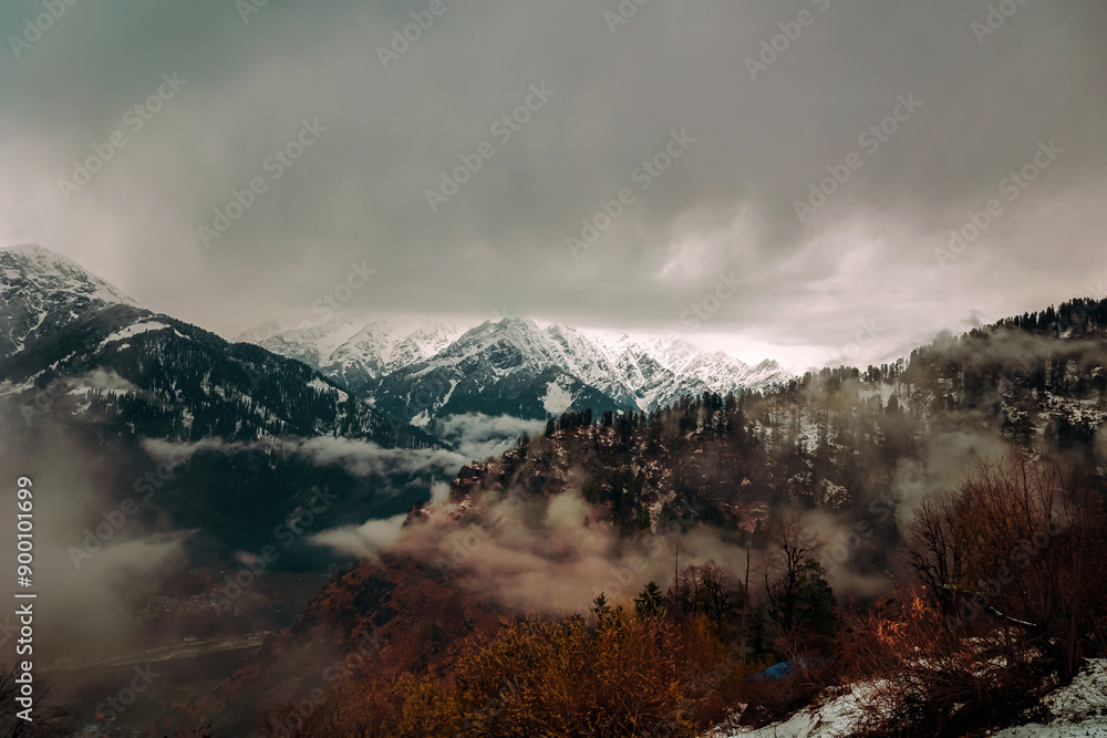 aerial view of Beas river by the pine trees forest in Manali city of ...