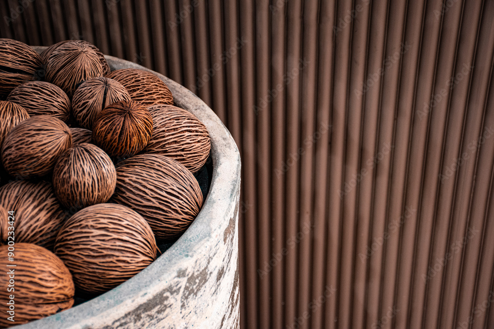 Cerbera odollam seeds or pong pong seeds from suicide tree with a brown ...