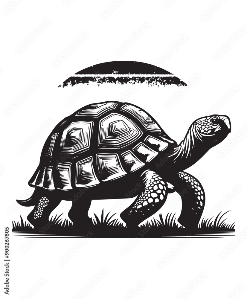 tortoise vector art,graphics tortoises icons set,vintage illustration ...