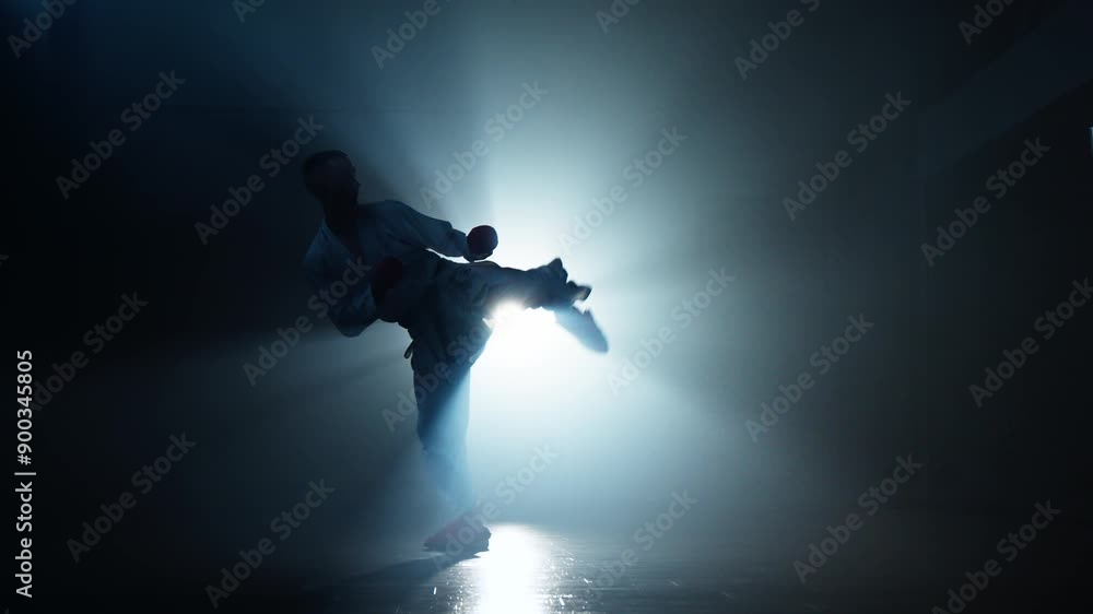 Karate fighter stands in darkness. His stance exudes strength and ...