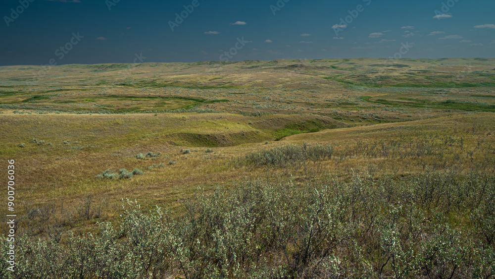 Primitive vistas abound in the East Block of Parks Canada's Grasslands ...