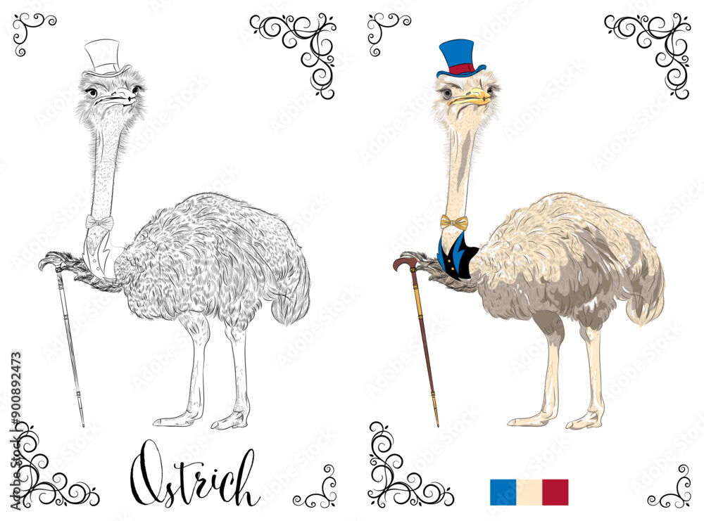 Vector coloring book page of an ostrich wearing a top hat and bow tie ...