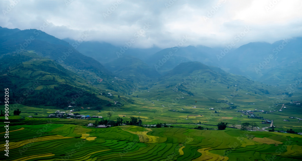 Rice terrace Field Green agriculture rainny season dark cloud amazing ...