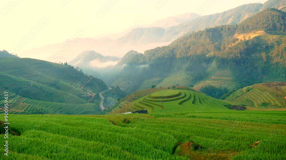 Rice terrace Field Green agriculture rainy season dark cloud amazing ...
