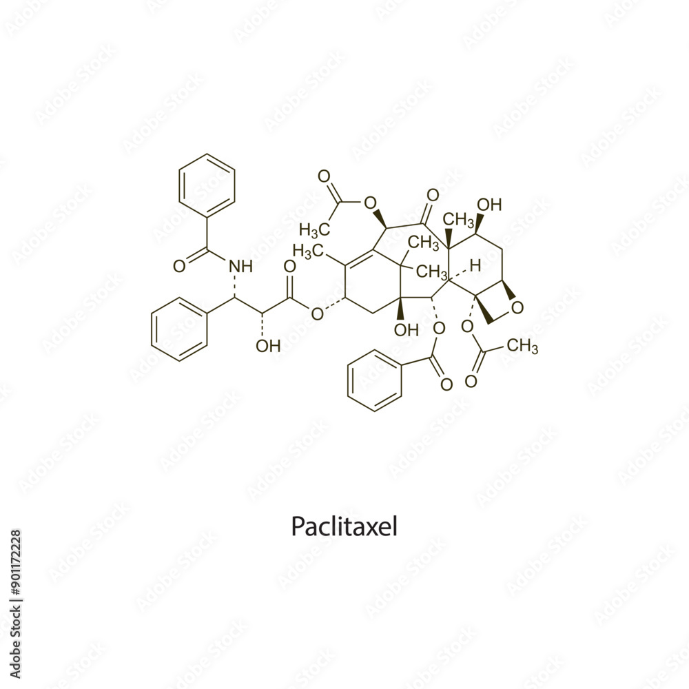 Paclitaxel flat skeletal molecular structure Antineoplastic drug used ...