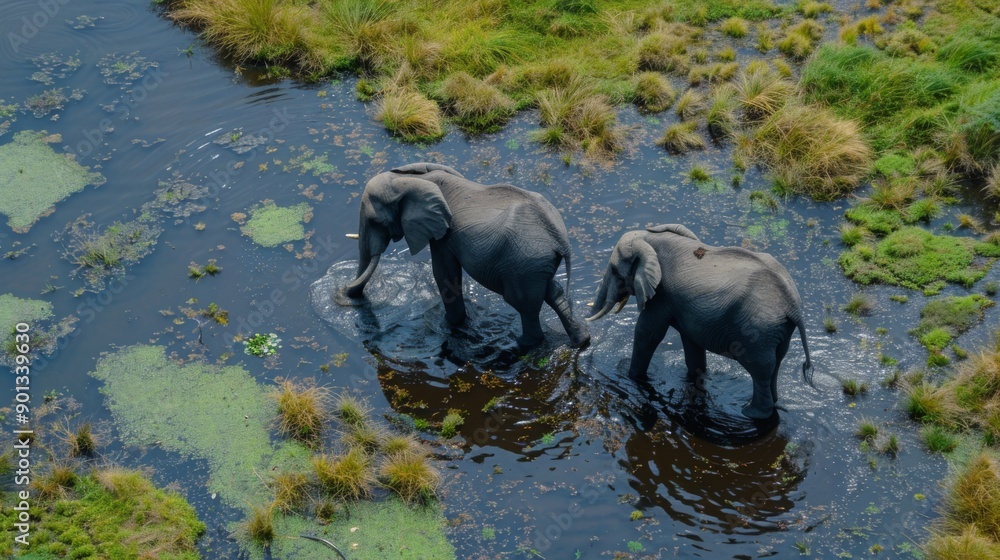 Wildlife Corridors, Photos of wildlife corridors and conservation ...
