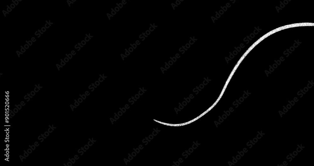 Hand Draw Curved Line Scribble Animation. White on a transparent ...