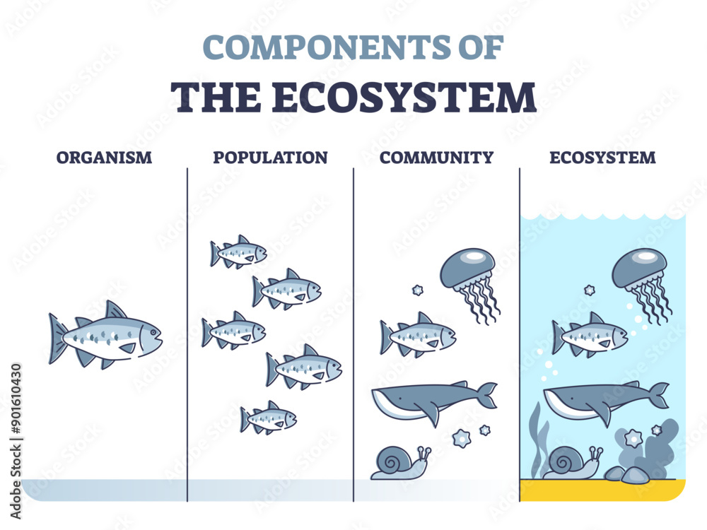Components of environmental ecosystem with organism, population and ...