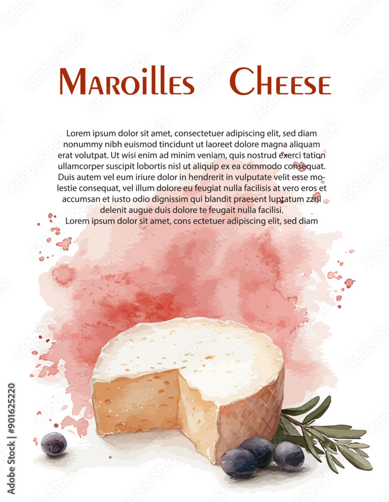 Watercolor different cheese frame template. Hand draw circle card ...