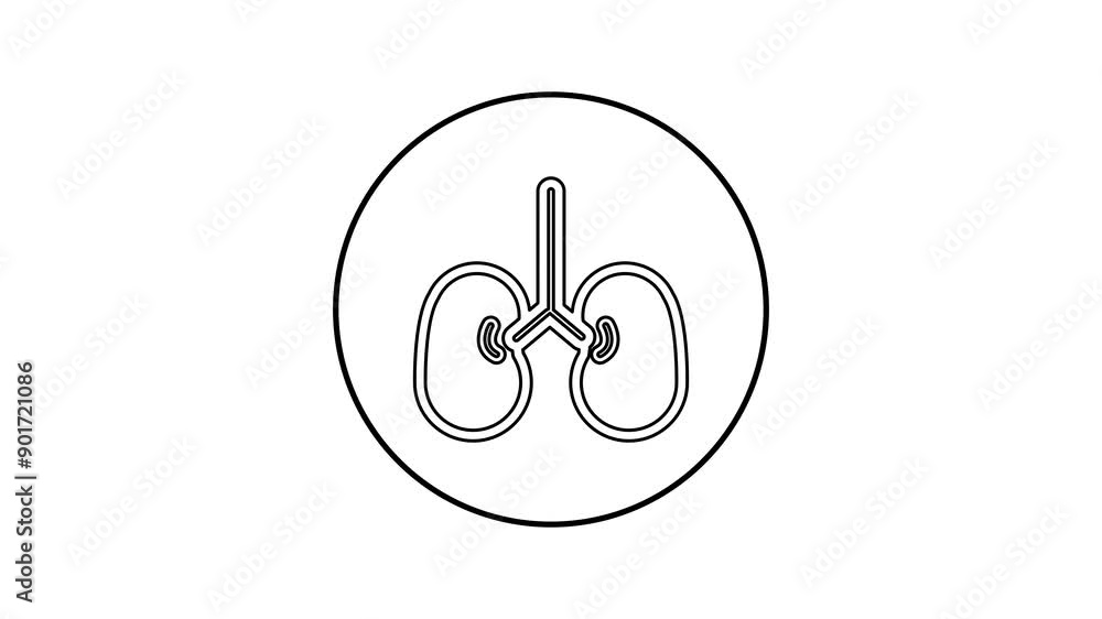 Respiratory system line animation. Human anatomy. Pulmonary system ...