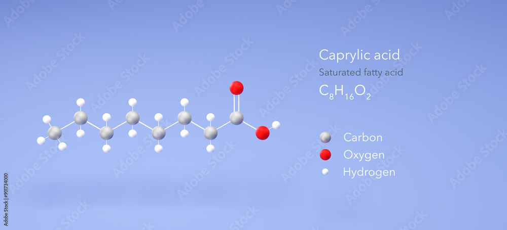 caprylic acid molecule, molecular structure, saturated fatty acid, 3d ...