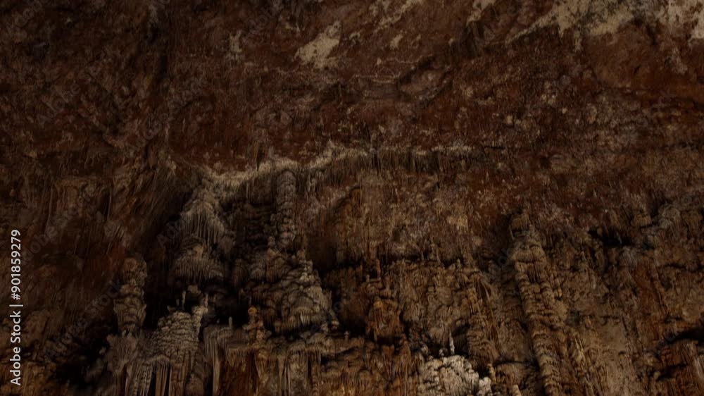 Grotta Gigante one of the largest stalactite caves in the World near ...