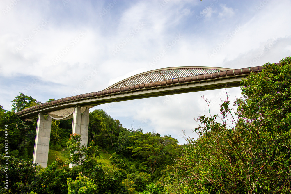 Henderson Waves Bridge Surrounded By Forest In Singapore Viewed From ...