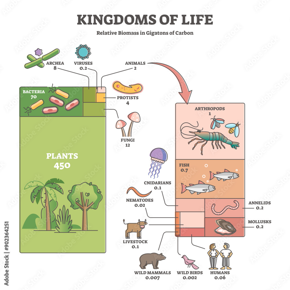 Kingdoms of life as labeled biological nature classification outline ...