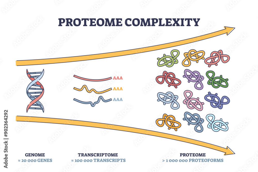 Proteome complexity as cellular complex microcosm outline diagram ...