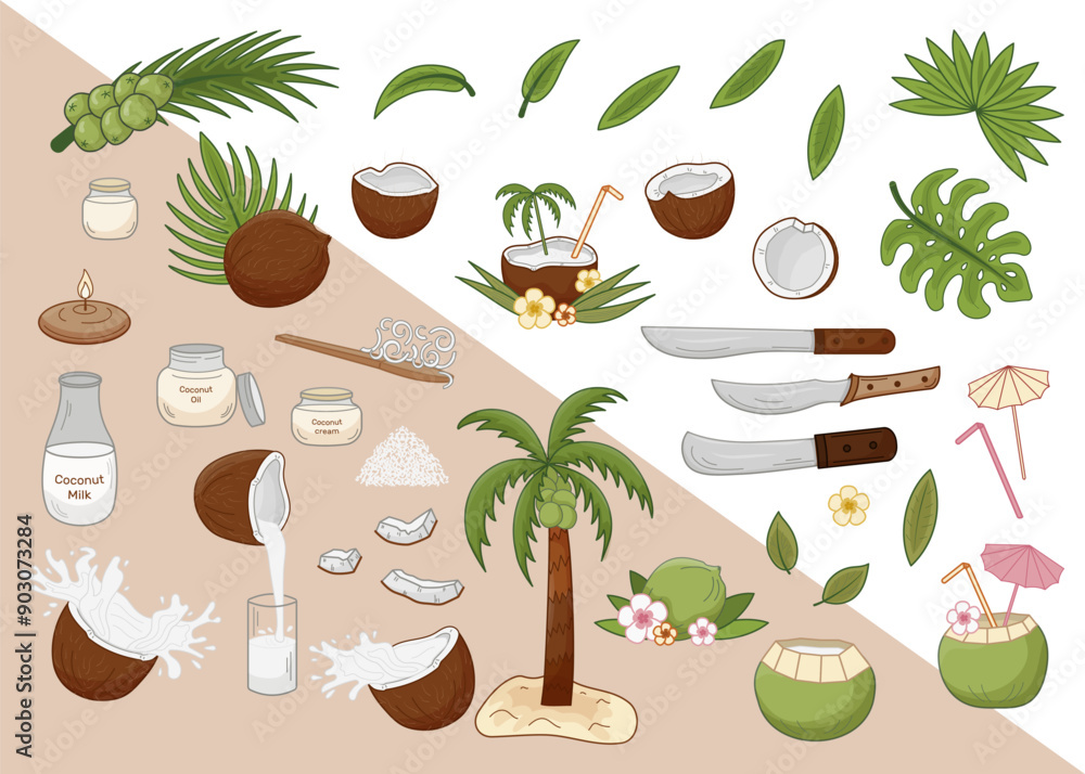 Set coconuts vector illustrations theme coconut production. Half ...