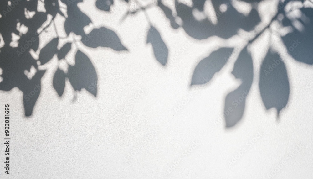 leaves shadow and tree branch background natural leaves tree branch ...