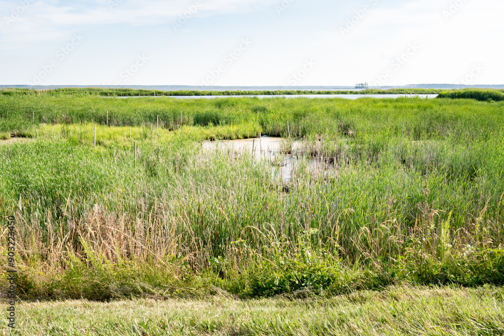 standing water from heavy rainfall create large puddles or small ...