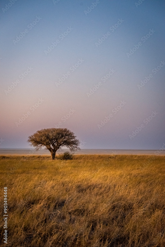 The Makgadikgadi Pan, a salt pan situated in the middle of the dry ...