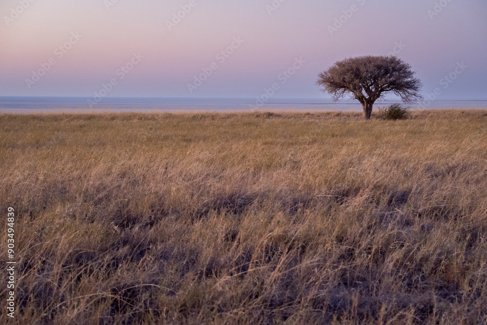 The Makgadikgadi Pan, a salt pan situated in the middle of the dry ...