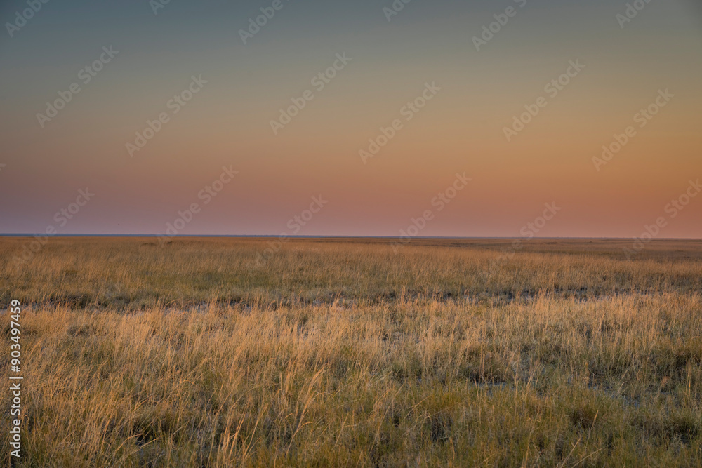 The Makgadikgadi Pan, a salt pan situated in the middle of the dry ...