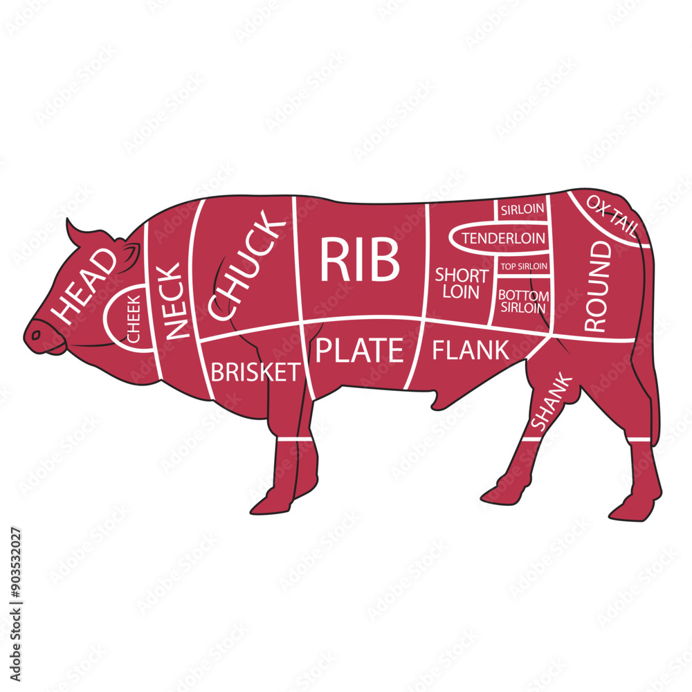 vector names of meat parts of a cow Stock Vector | Adobe Stock