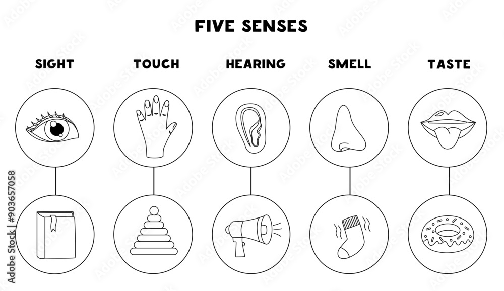 Five senses organs, vector illustration. Sight hearing taste touch ...