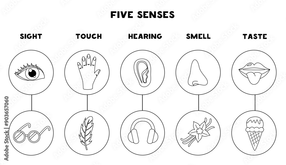 Five senses organs, vector illustration. Sight hearing taste touch ...