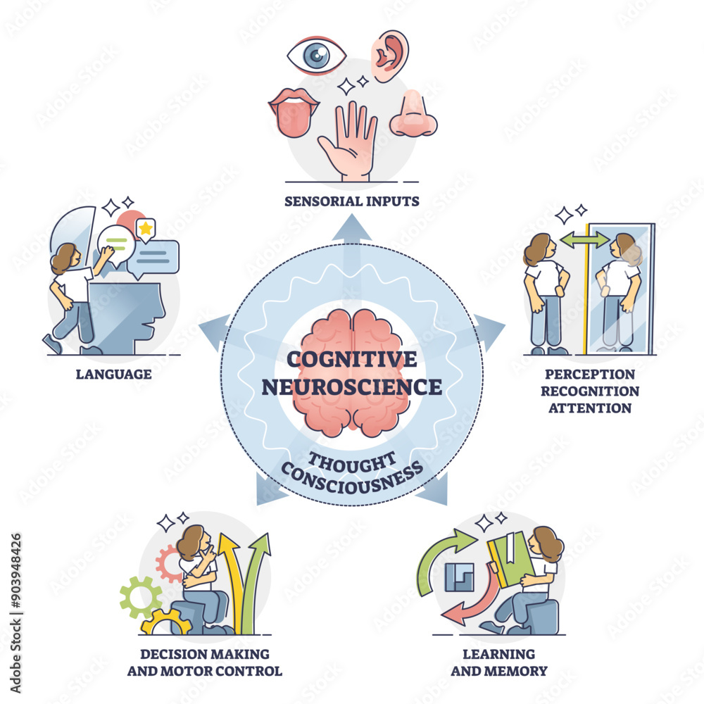 Cognitive neuroscience and thought consciousness processes, outline ...