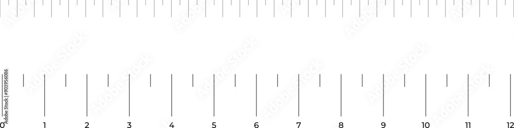 Graduated ruler vector illustration on a white background. Inch and ...