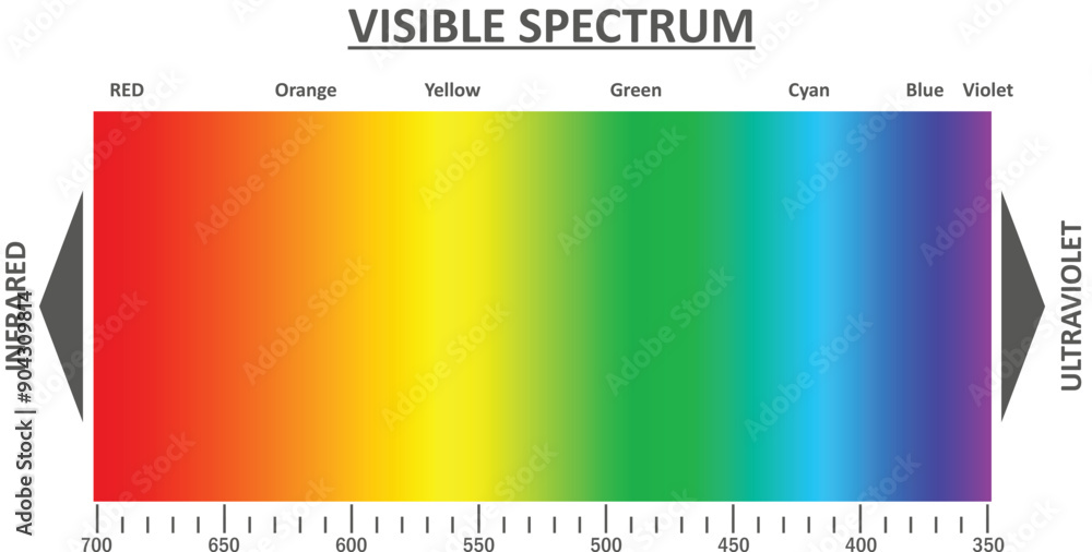 Visible light spectrum. Electromagnetic visible color spectrum for ...