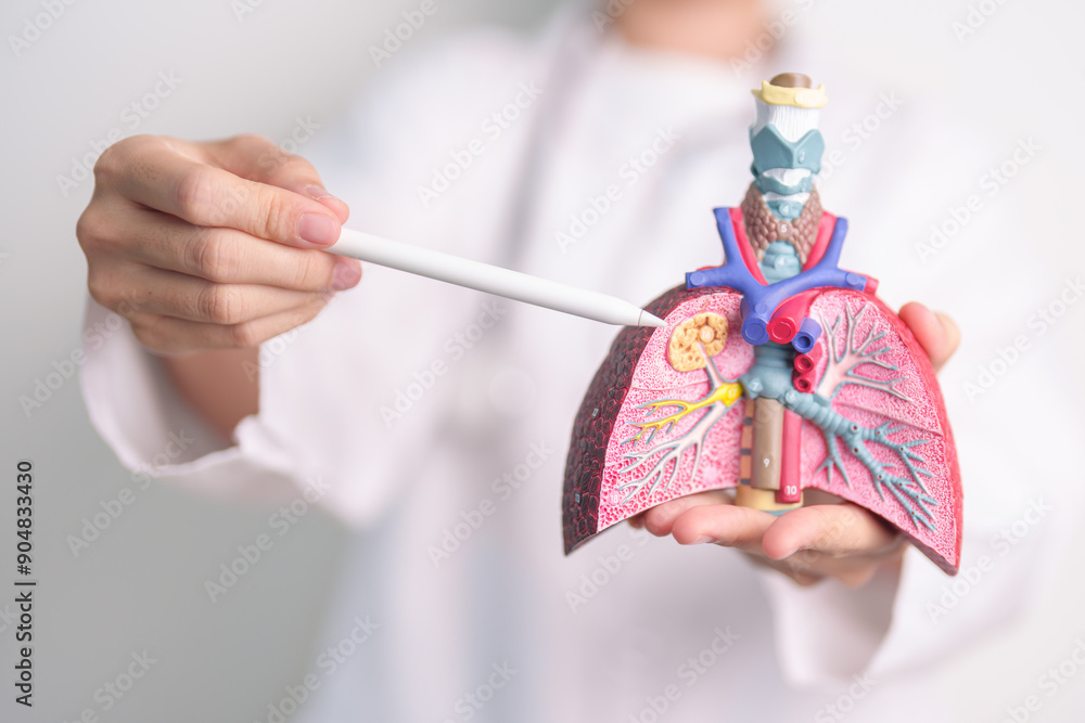 Doctor with Smoker and normal Lung anatomy for Disease. Lung Cancer ...