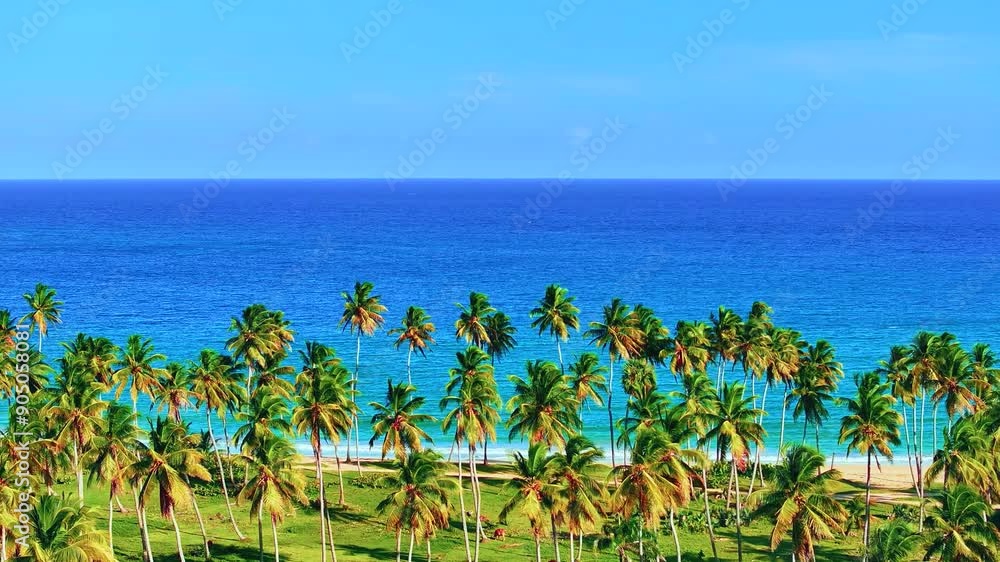 Beautiful Polynesian beach on an exotic island with palm trees. Summer ...