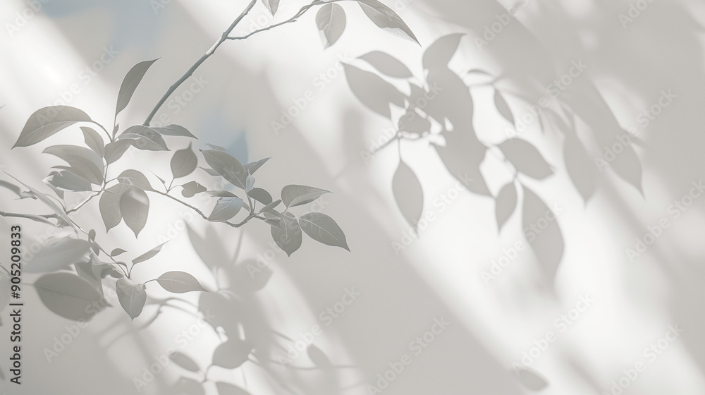 Abstract light shadow on a white background, blurred shadow of window ...