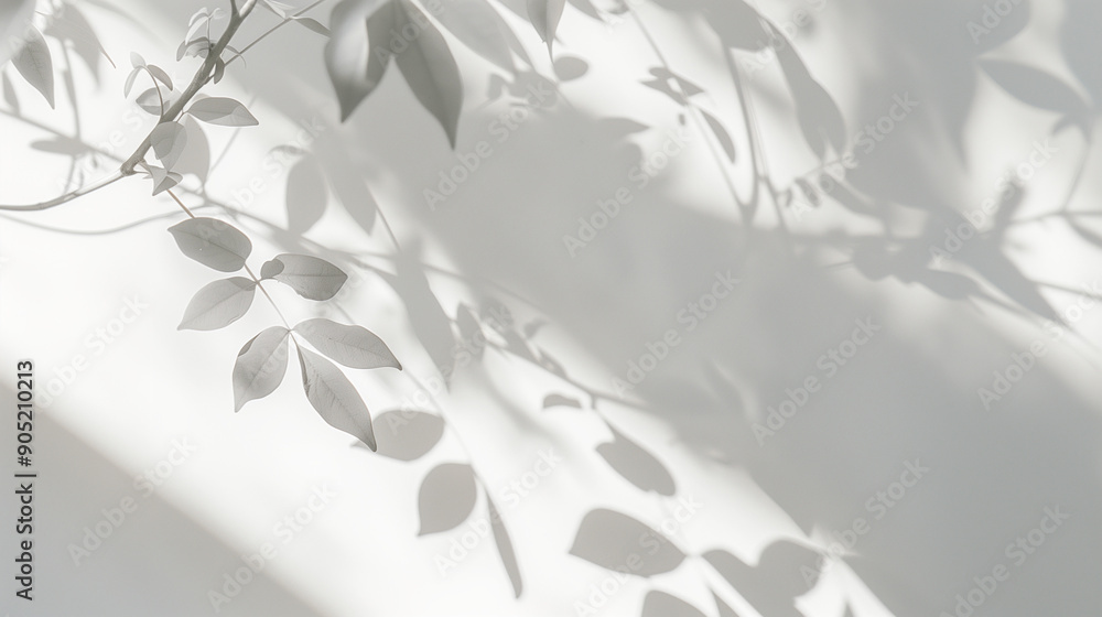 Abstract light shadow on a white background, blurred shadow of window ...