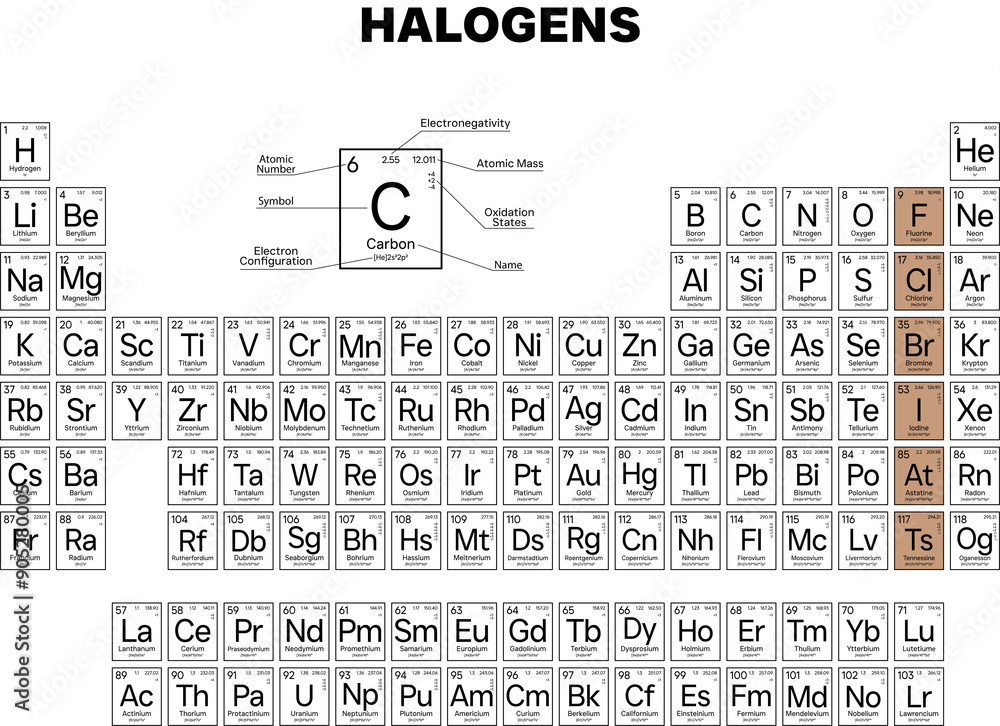 Halogens in the Periodic Table Of Elements Correct Sequence Of Elements | High Resolution ...