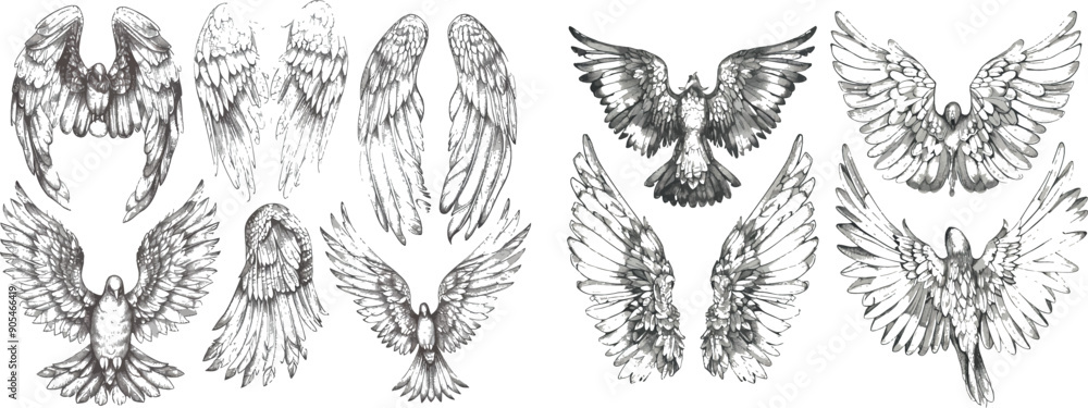An illustration of a birds' or angels' wings with feathers on the wing ...